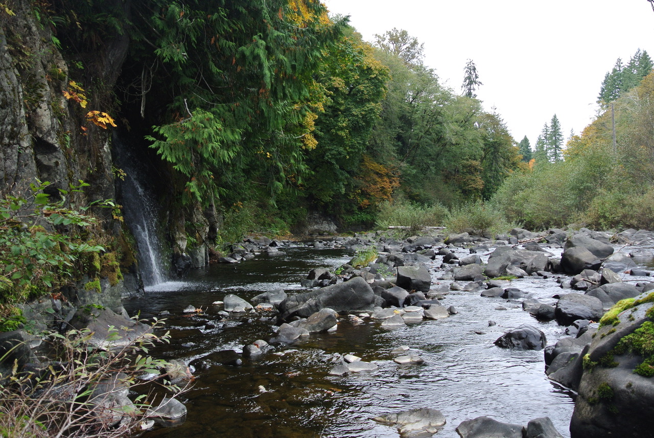 Why add a dam when dams are being removed?
