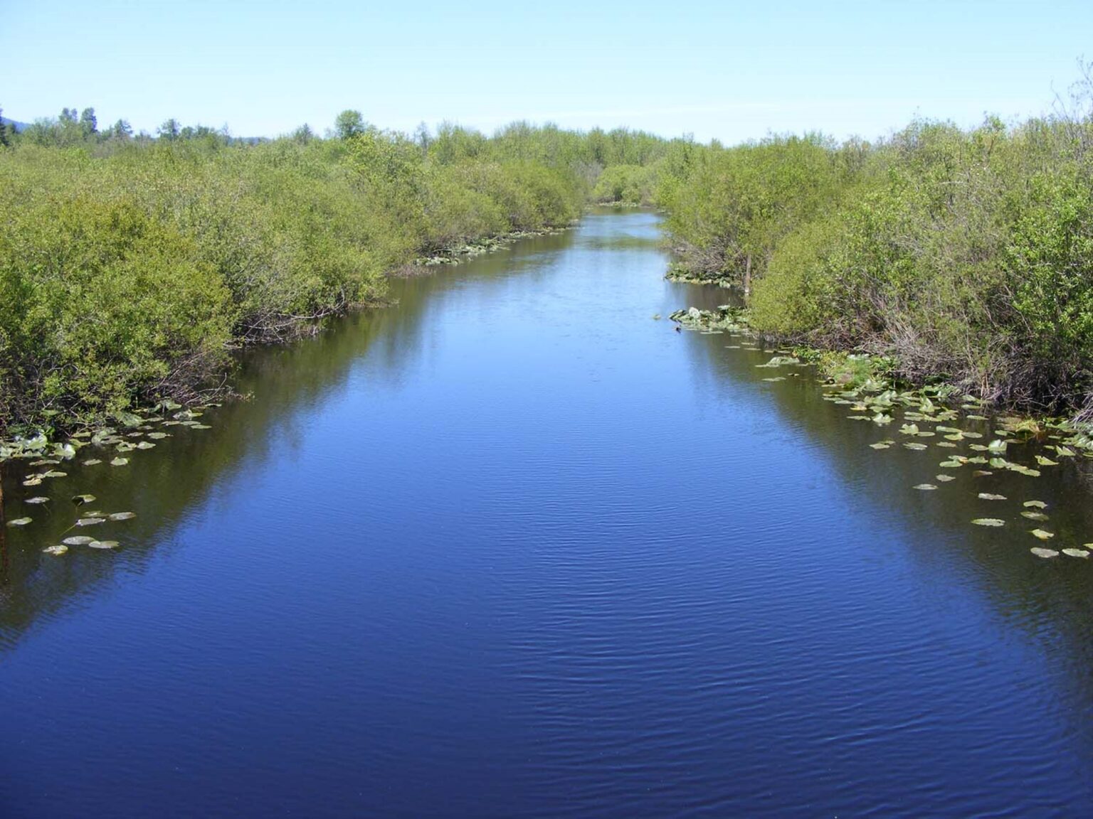 Why Black Lake should be allowed to keep its name - Works in Progress